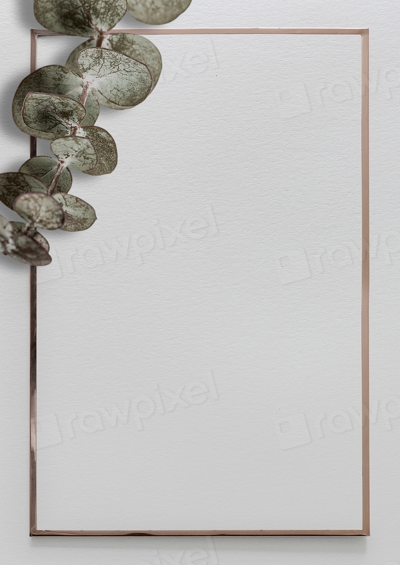 Gold frame eucalyptus branch gray | Premium Photo - rawpixel