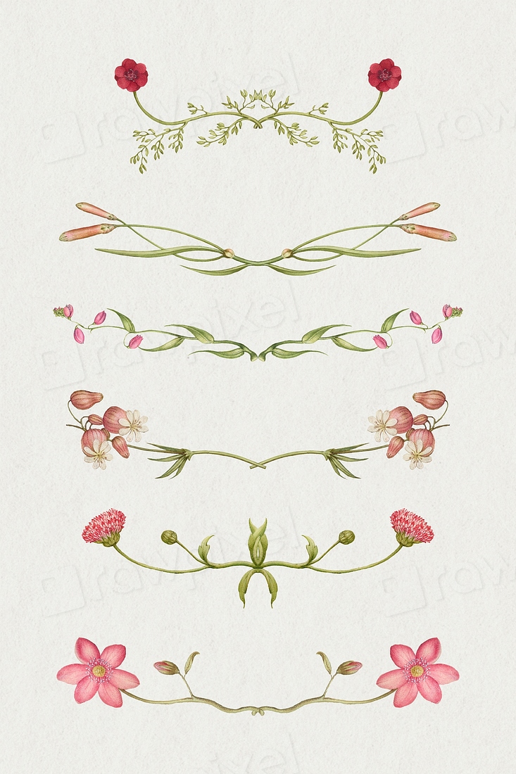 Colorful flower psd flourish divider | Premium PSD - rawpixel