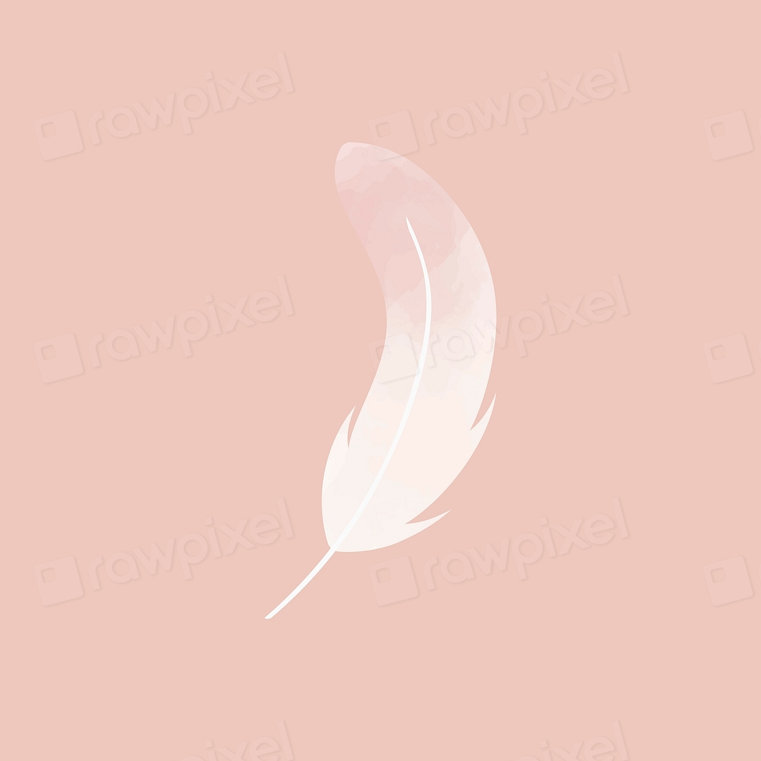Single pink lightweight feather vector | Premium Vector - rawpixel