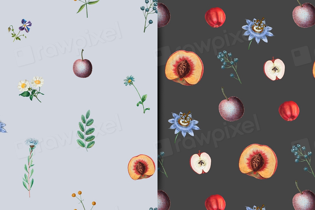 Floral fruity frame design vector | Premium Vector - rawpixel