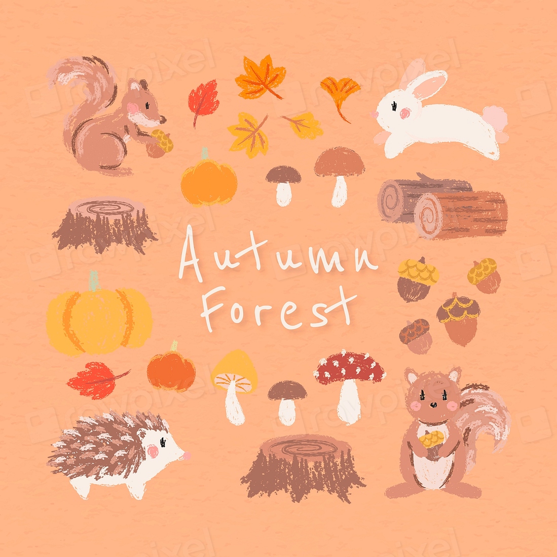 Autumn design elements vector set | Premium Vector - rawpixel