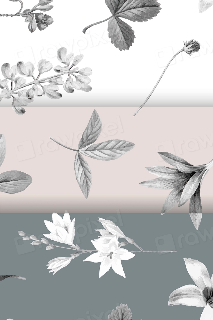 Blooming flowers pattern vector collection | Premium Vector - rawpixel