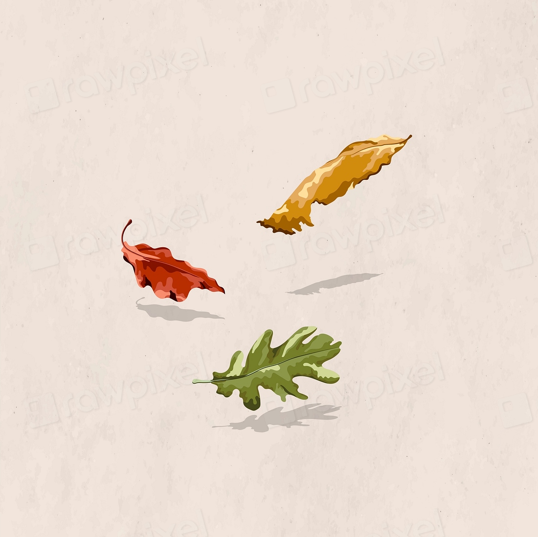 Autumn leaf design elements vector | Premium Vector - rawpixel