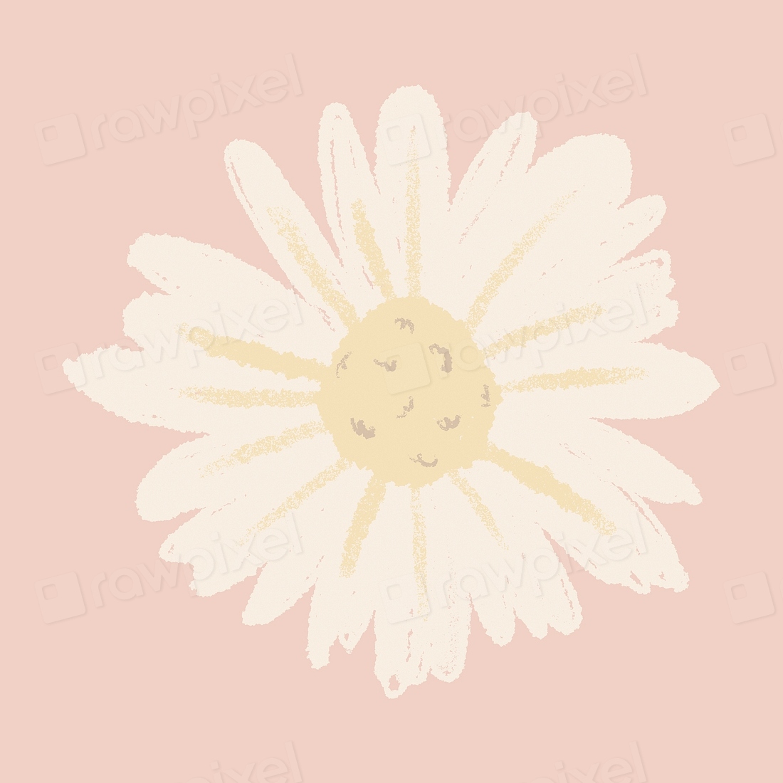 Daisy white flower sticker vector | Premium Vector Illustration - rawpixel