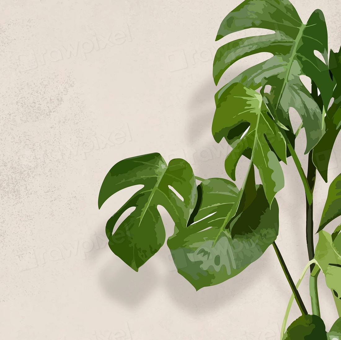Monstera background vector, tropical leaf | Premium Vector - rawpixel