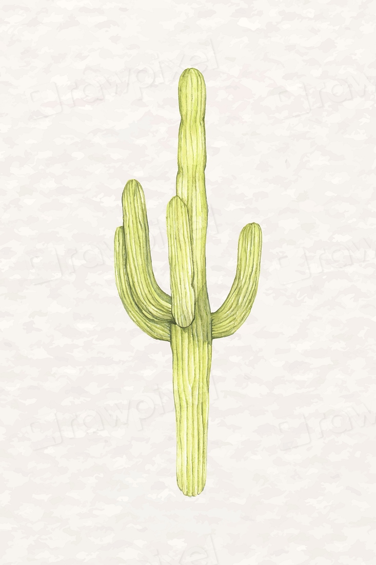 Desert cactus watercolor psd Saguaro | Premium PSD - rawpixel
