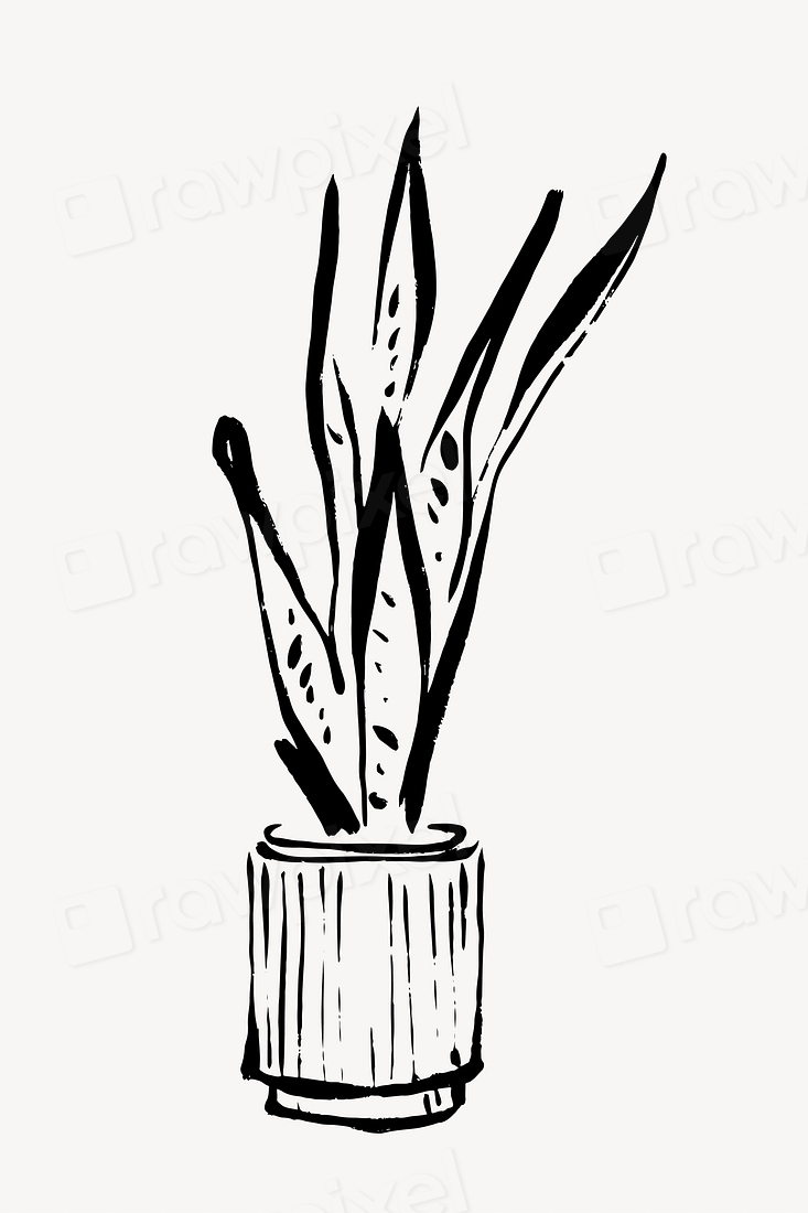 Snake plant line art, Chinese | Free Photo - rawpixel