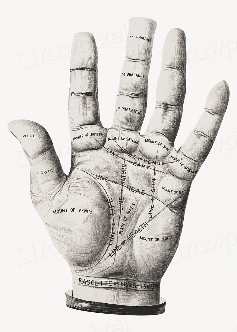 Vintage palm reading illustration | Premium Photo Illustration - rawpixel
