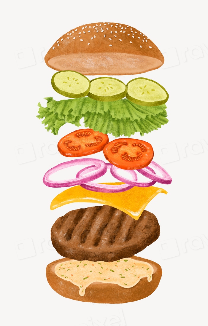 Hamburger anatomy, fast food illustration | Free Photo Illustration ...