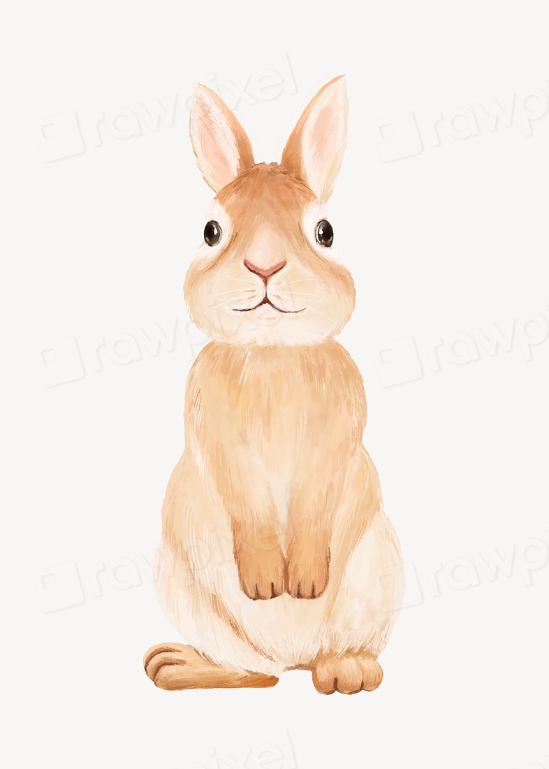 Rabbit collage element, cute animal | Premium Photo Illustration - rawpixel