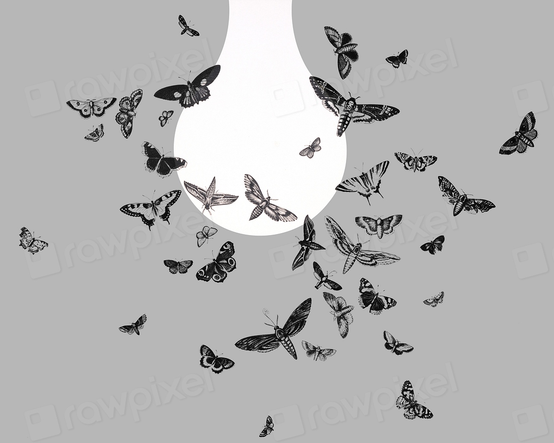 Moths and light bulb illustration. | Free Photo Illustration - rawpixel