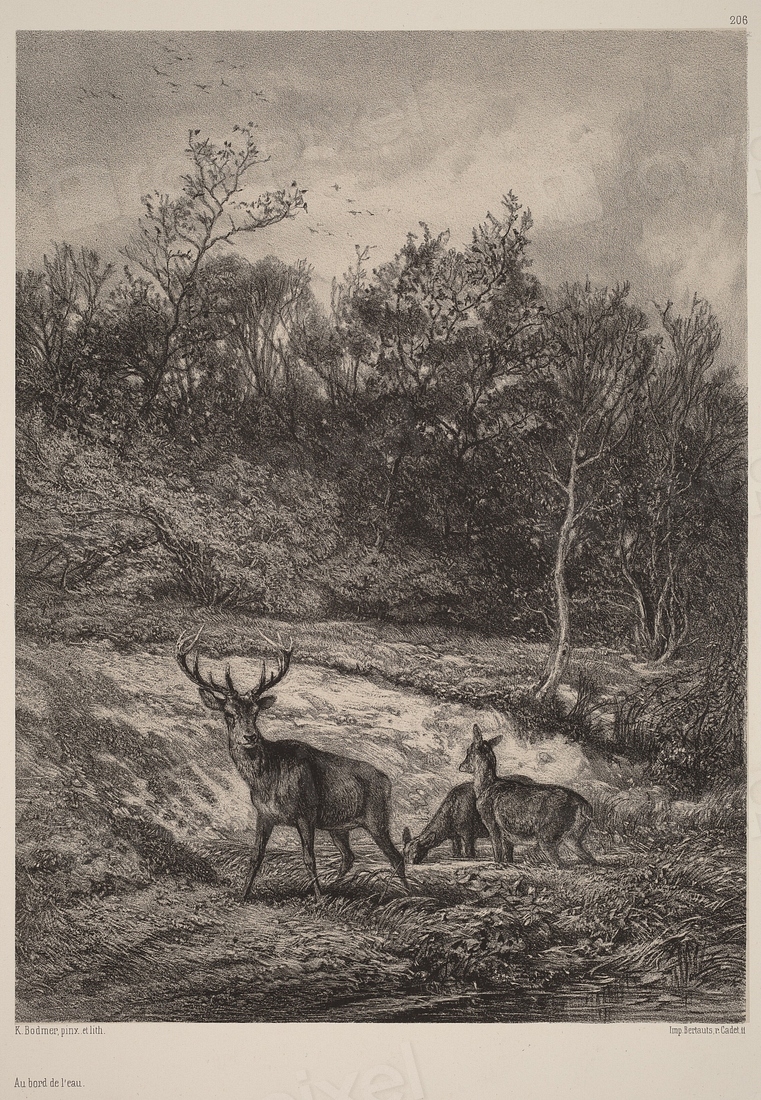 Au bord de l'eau Karl | Free Photo Illustration - rawpixel