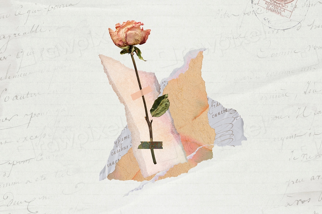 Aesthetic rose torn paper collage | Premium Photo - rawpixel