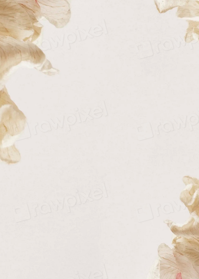 Beige aesthetic background, floral border | Premium Photo - rawpixel