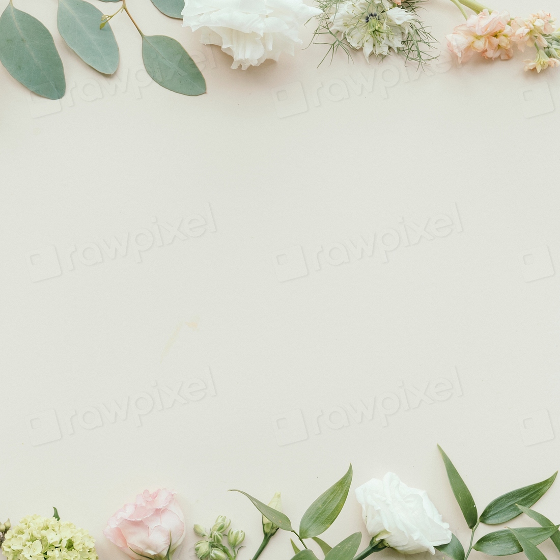 Beige flower border background | Premium Photo - rawpixel