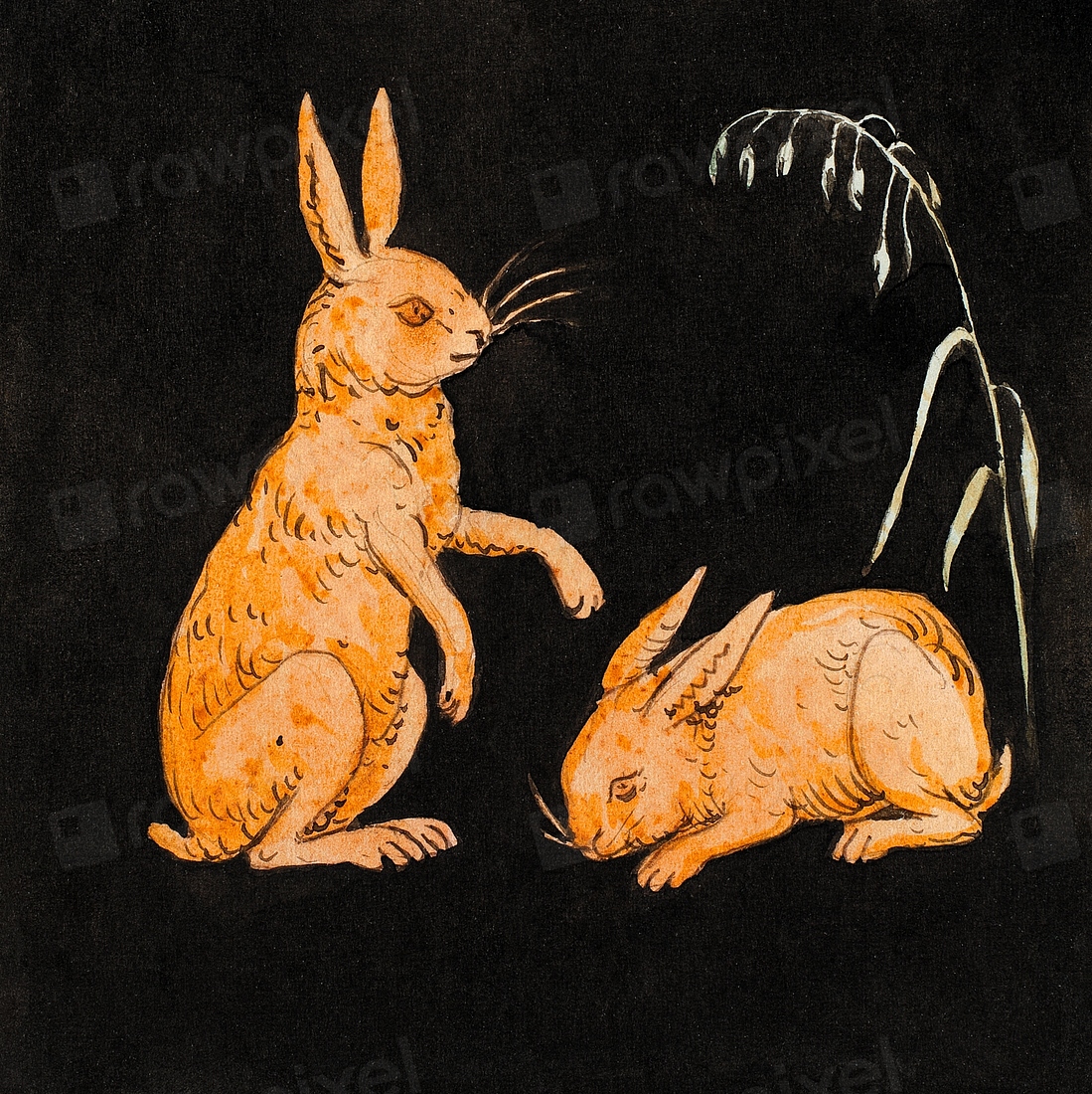 Two hares (rabbits?) (1817–1875), vintage | Free Photo Illustration ...