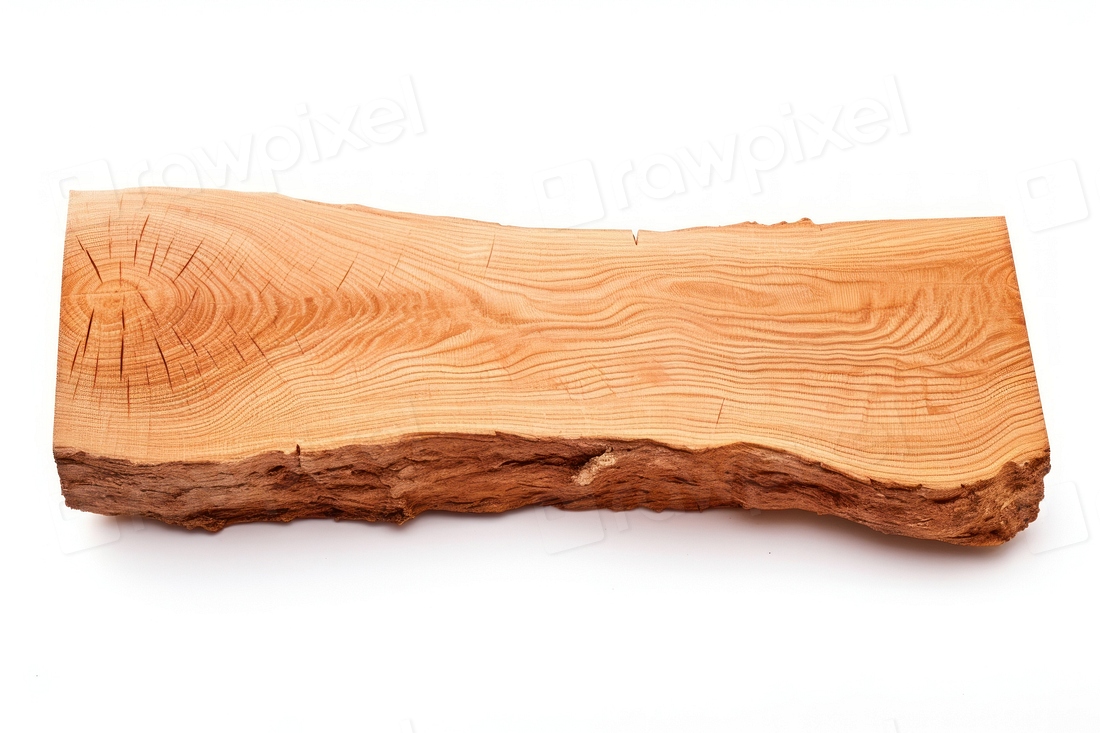 Wood tree white background textured. | Premium Photo - rawpixel