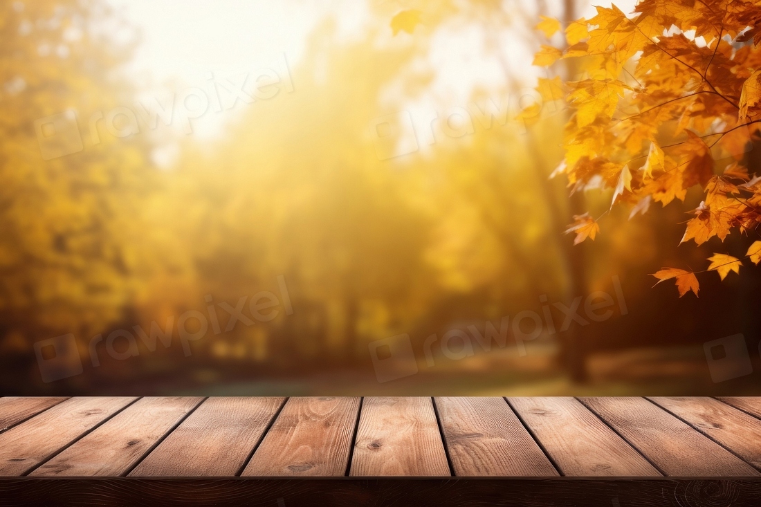 Autumn nature wood backgrounds | Premium Photo - rawpixel