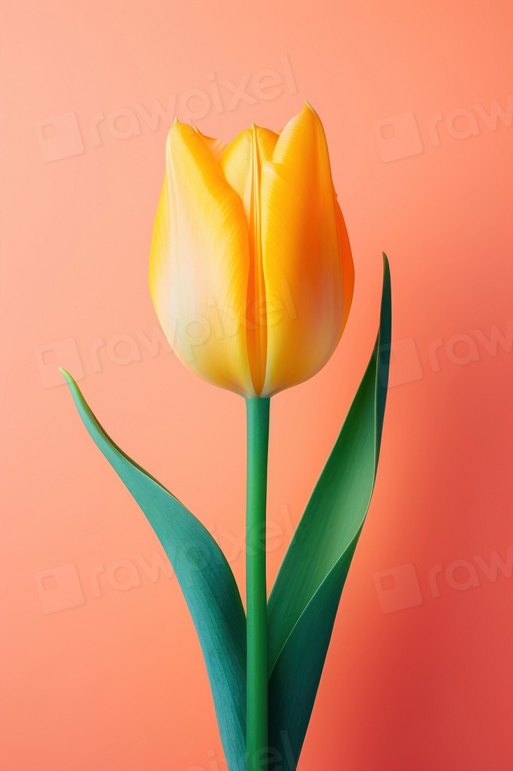 Tulip flower plant inflorescence. AI | Premium Photo - rawpixel