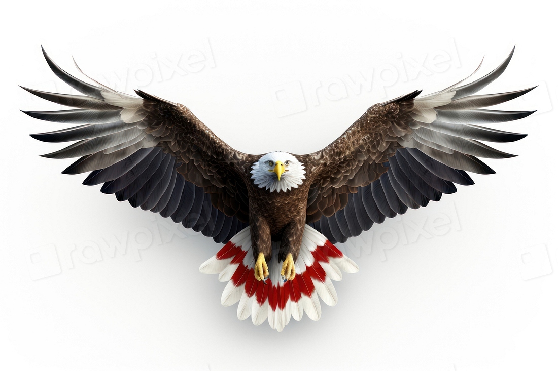 Animal flying bird wildlife. | Premium Photo Illustration - rawpixel