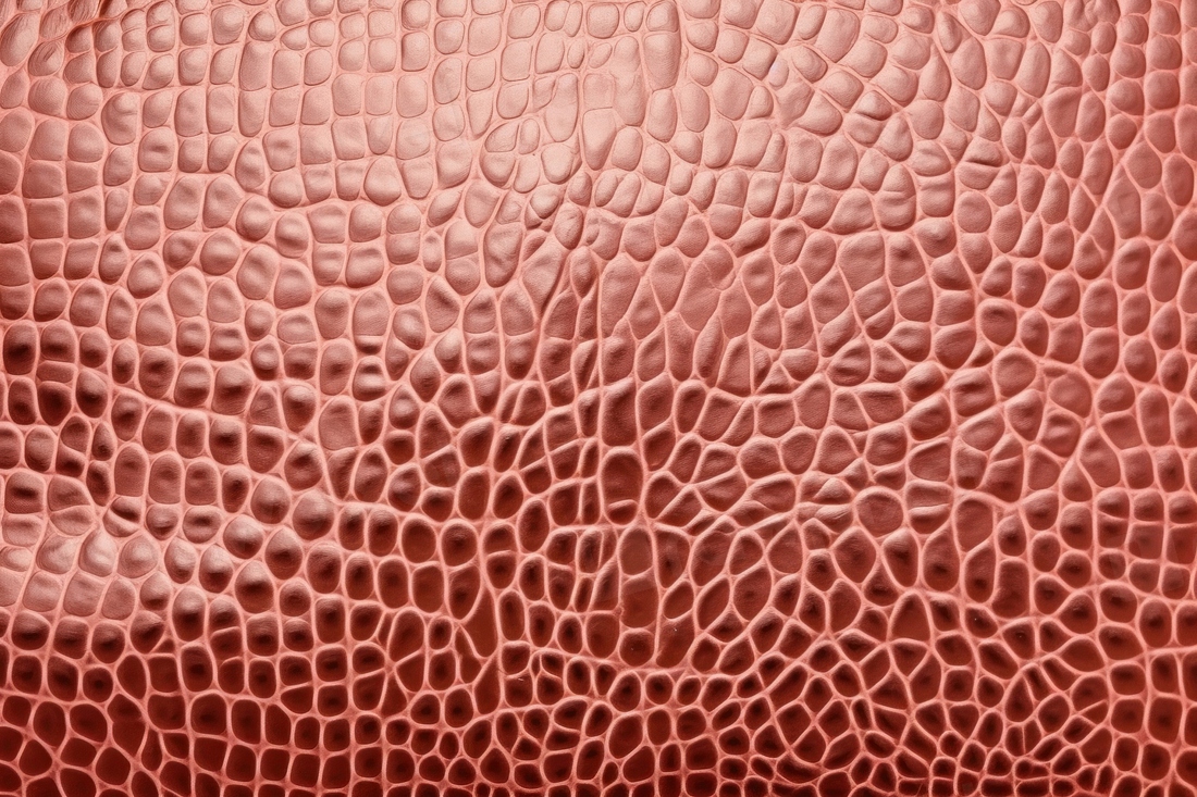 Animal leather texture backgrounds textured | Premium Photo - rawpixel