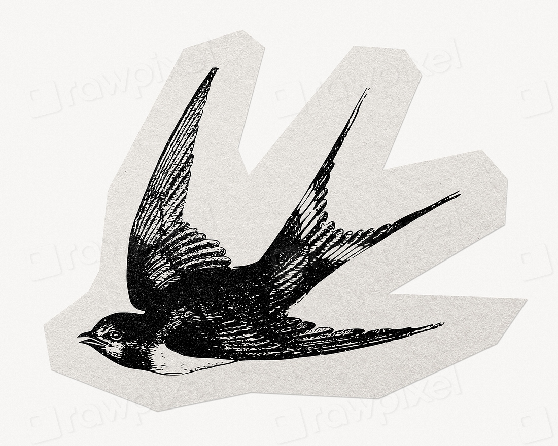 Sparrow bird paper cut isolated | Free Photo - rawpixel