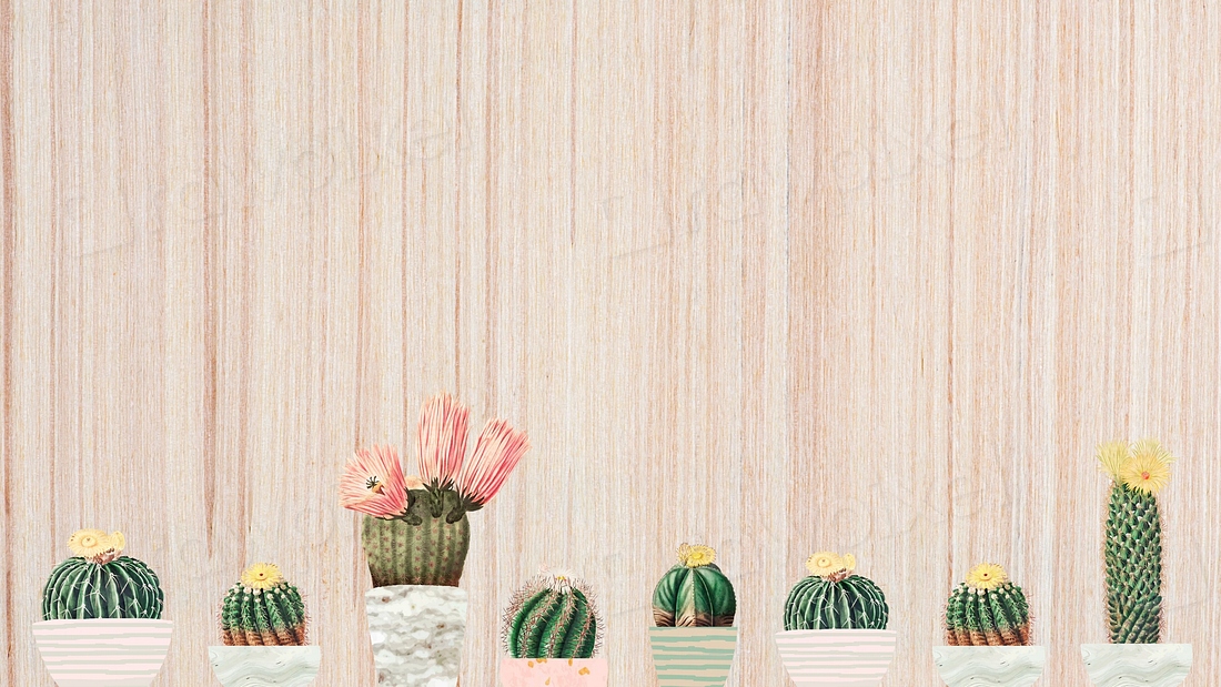 Cute cactus border desktop wallpaper | Premium Photo - rawpixel