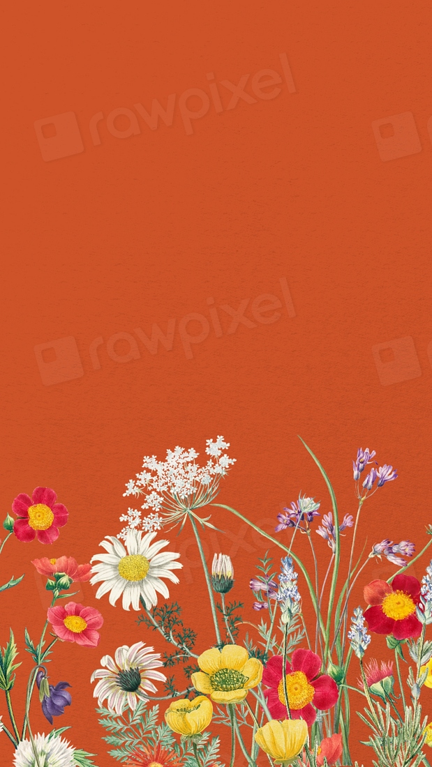 Spring wildflower border mobile wallpaper | Premium Photo - rawpixel