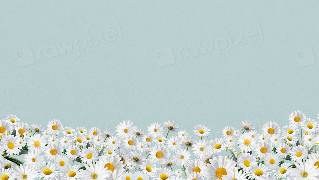 Daisy flower border computer wallpaper | Premium Photo - rawpixel