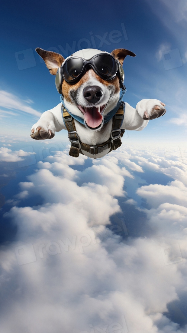 Dog skydiving animal. | Premium Photo - rawpixel