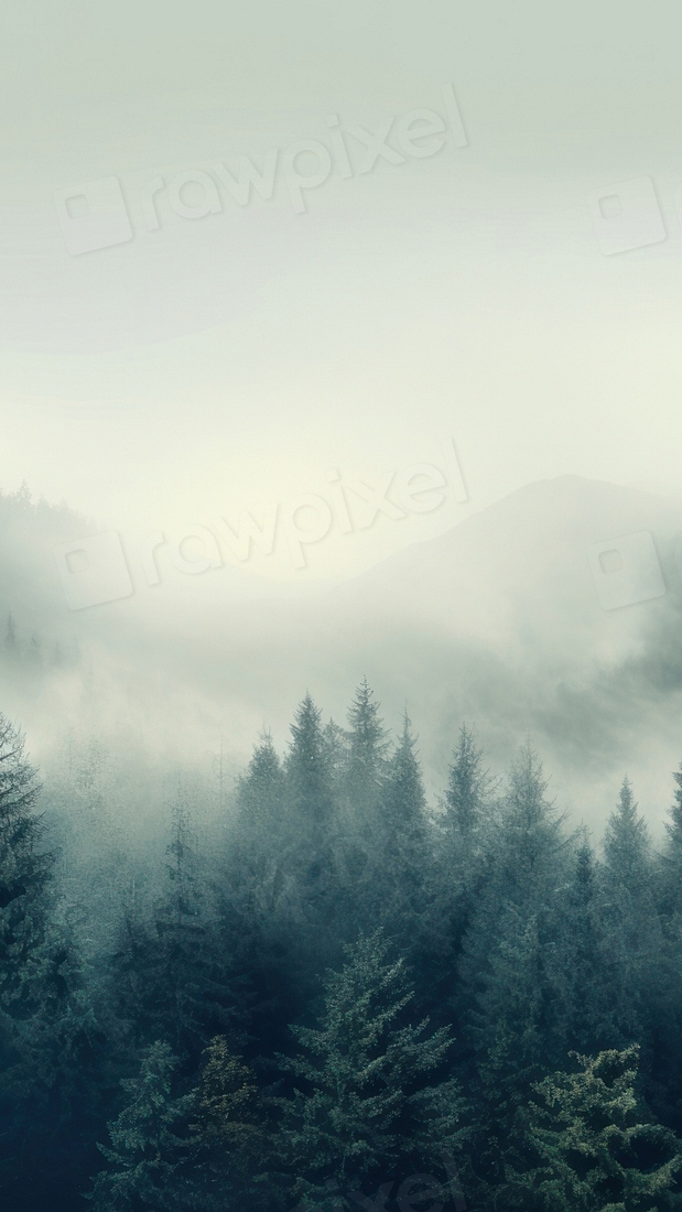 Forest mist backgrounds outdoors. AI | Free Photo - rawpixel