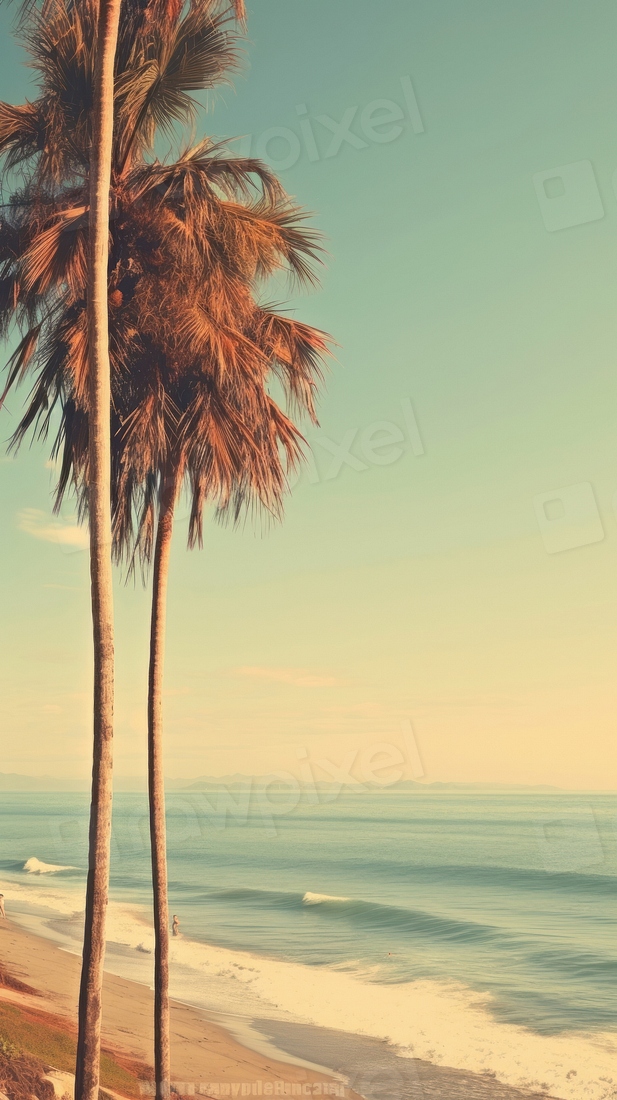 Beach tree outdoors horizon. | Premium Photo - rawpixel