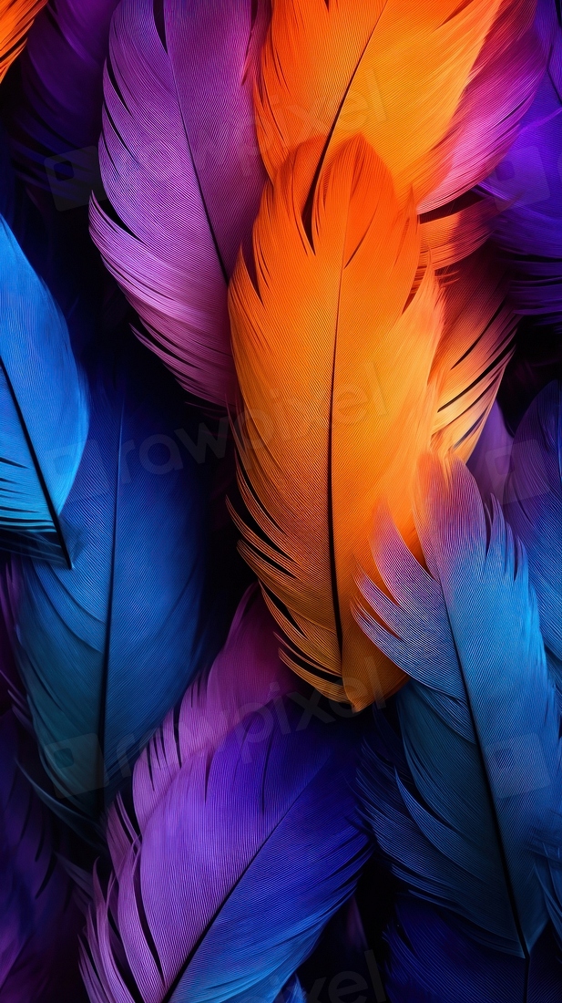Abstract colourful feathers background backgrounds | Free Photo - rawpixel