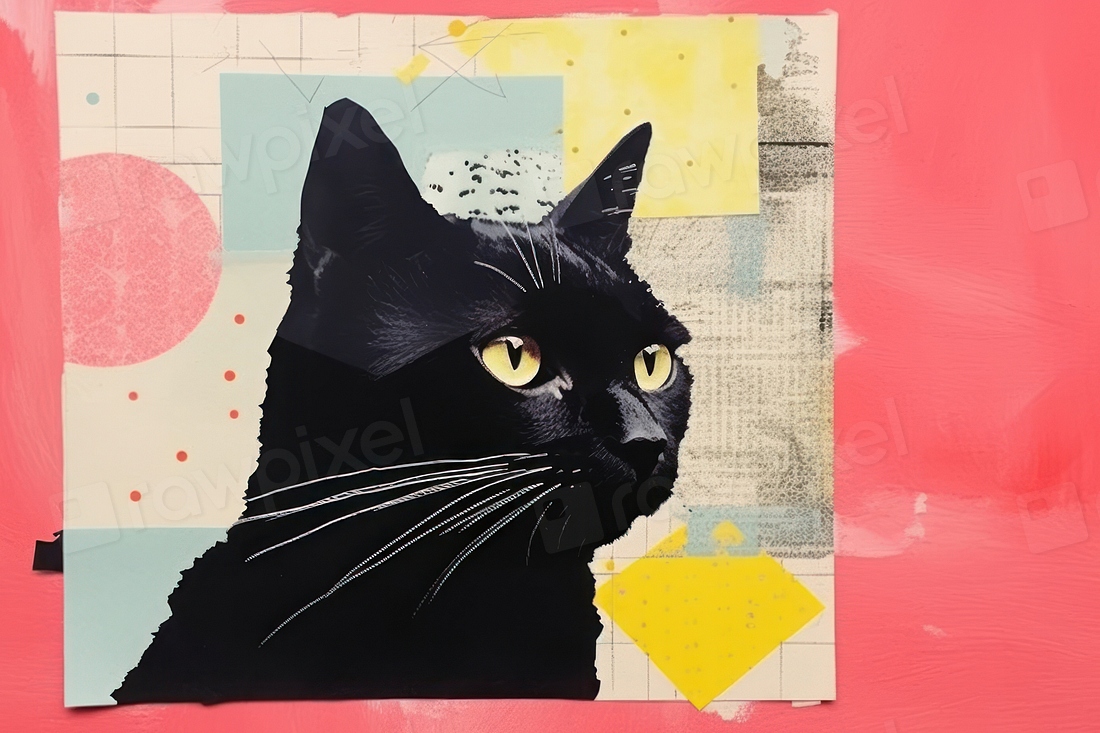Cat art collage animal. | Premium Photo Illustration - rawpixel