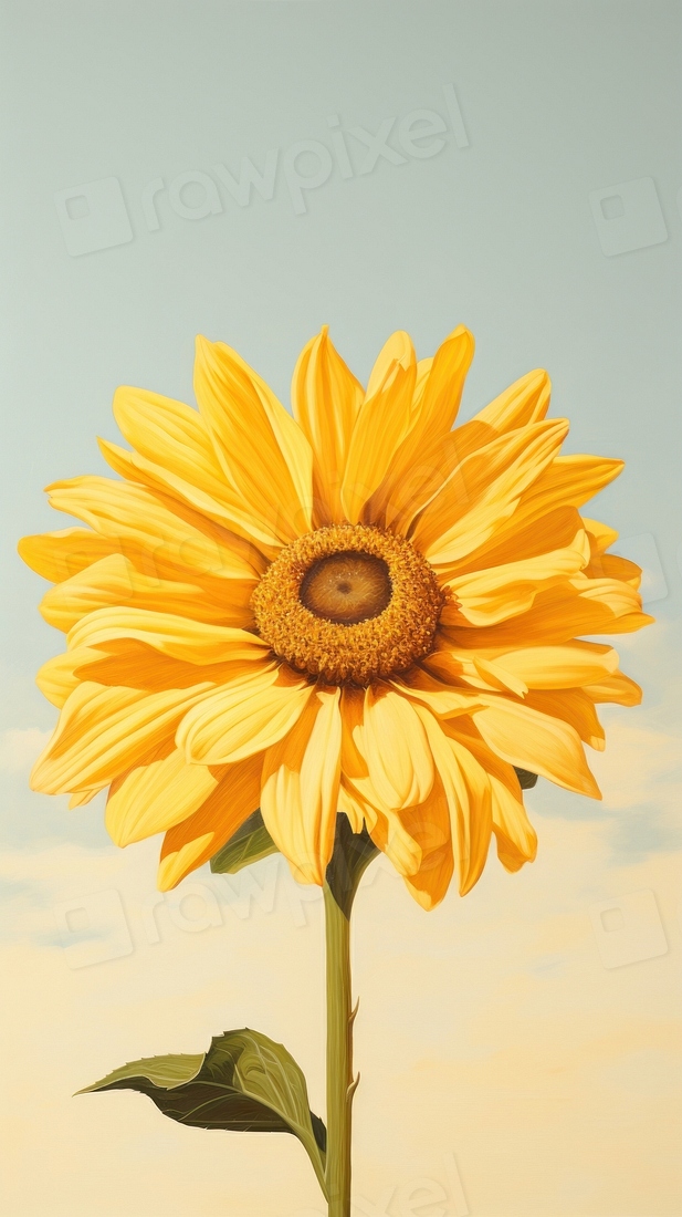 sunflower plant inflorescence springtime. | Premium Photo Illustration ...