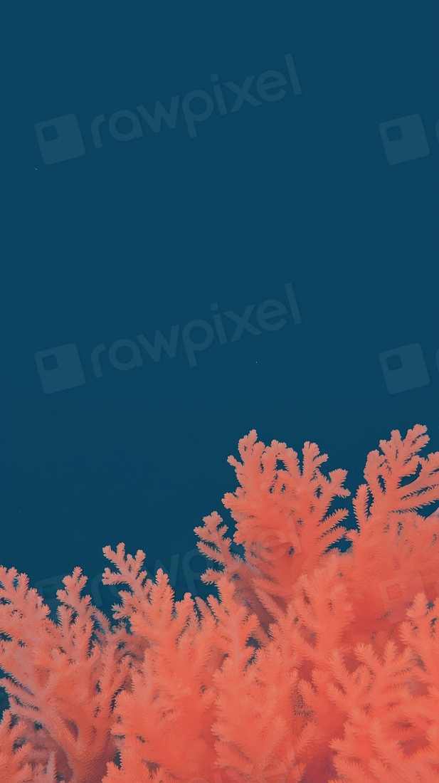 Coral reef underwater outdoors nature. | Free Photo - rawpixel