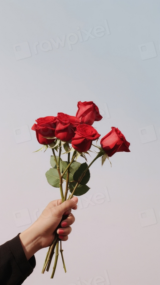 Hand holding rose bouquet flower | Premium Photo - rawpixel