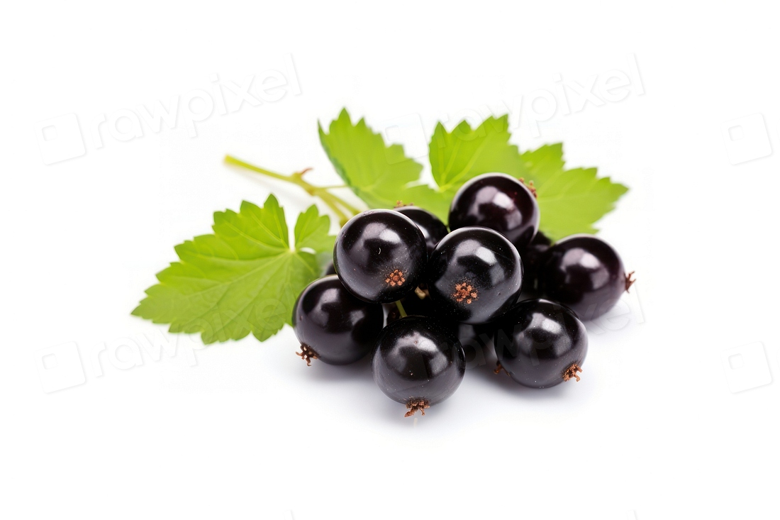 Berry type currant grapes fruit | Free Photo - rawpixel