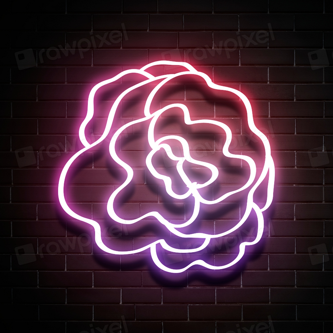 Glowing neon carnation flower sign | Free Photo - rawpixel