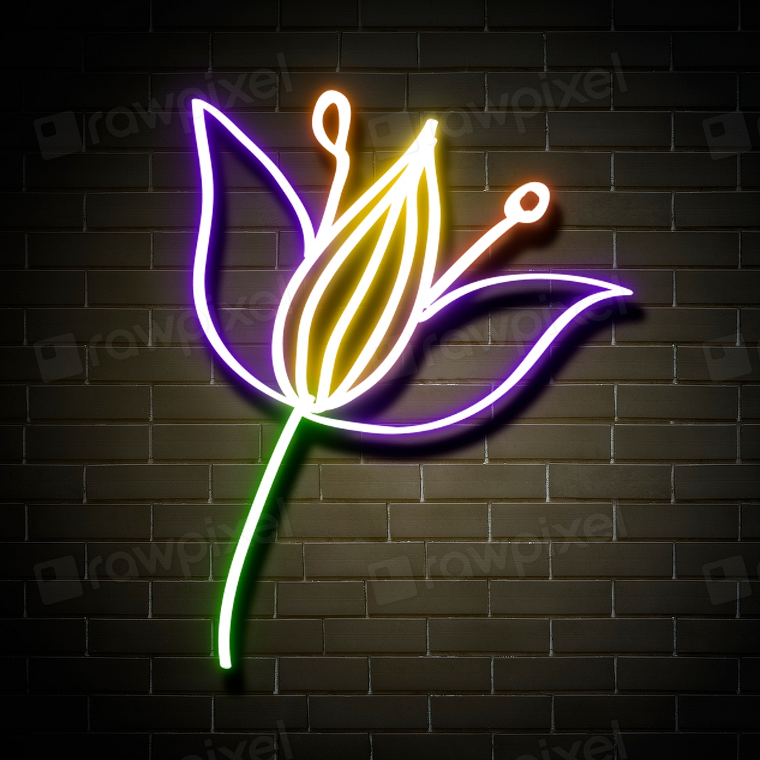 Glowing colorful neon flower hand | Free Photo - rawpixel