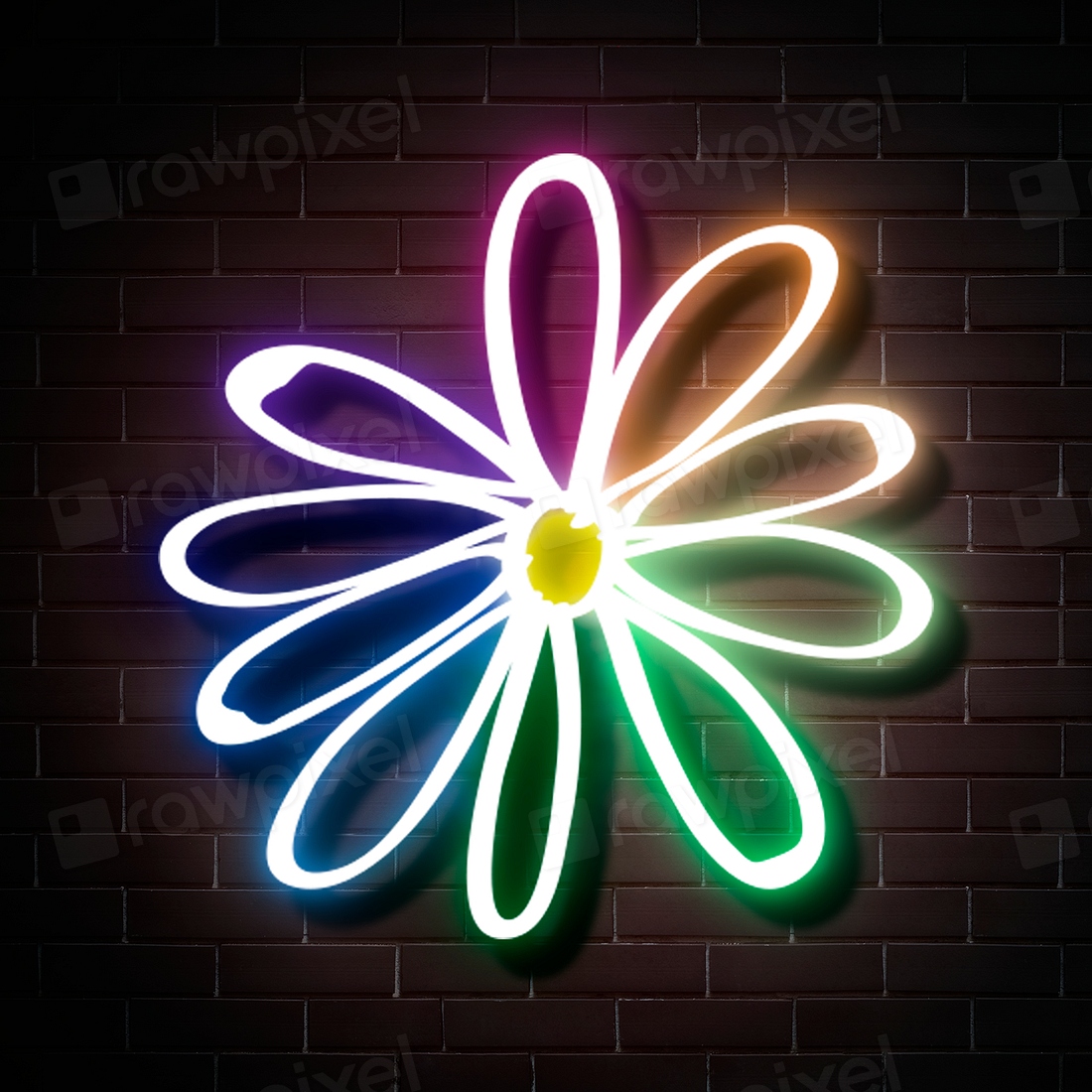 Neon daisy flower glowing floral | Free Photo - rawpixel