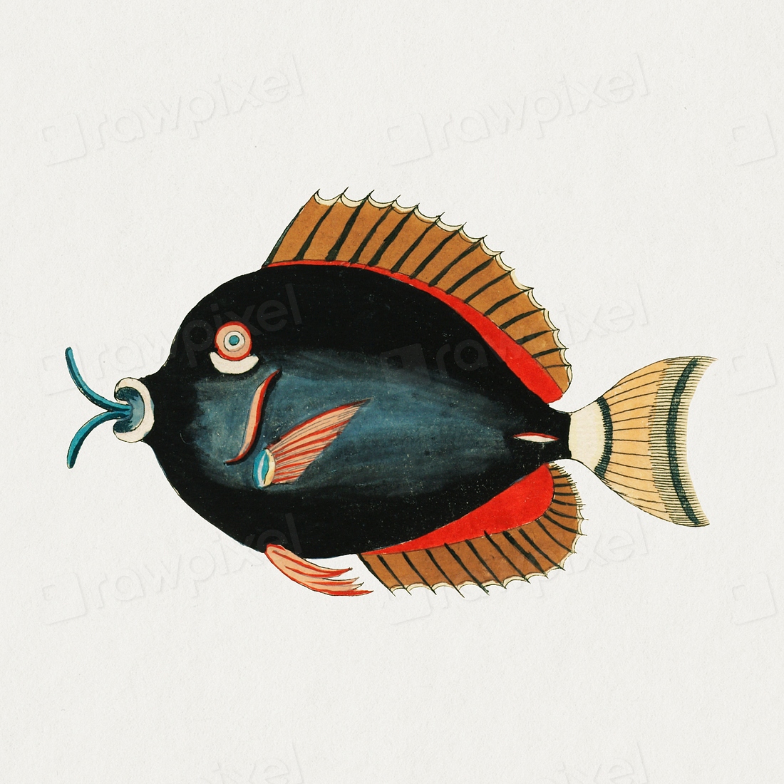 Vintage fish sticker, aquatic animal | Free PSD Illustration - rawpixel