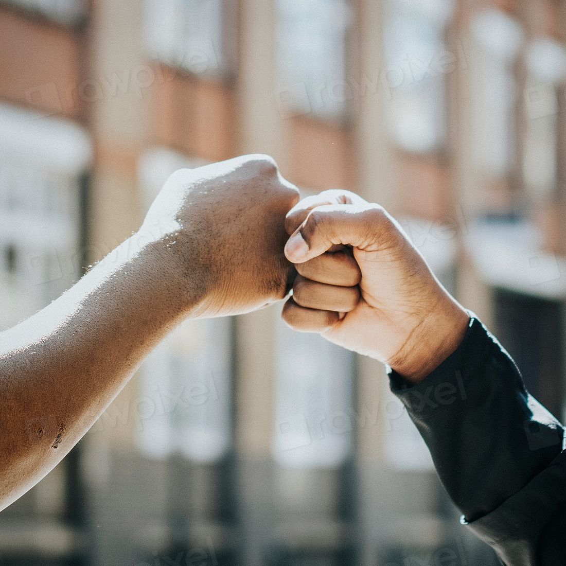 Fitness partners doing fist bump | Premium Photo - rawpixel