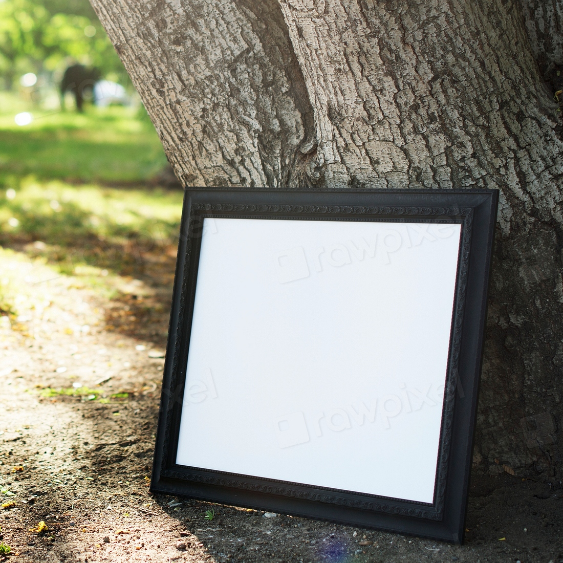 Picture frame on a tree | Premium Photo - rawpixel