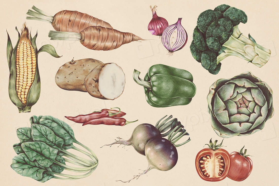 Hand drawn vegetable pattern illustration | Premium Photo - rawpixel