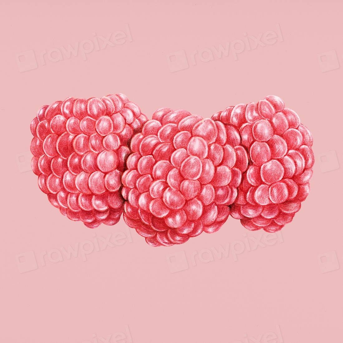 Hand drawn raspberry illustration | Premium PSD - rawpixel