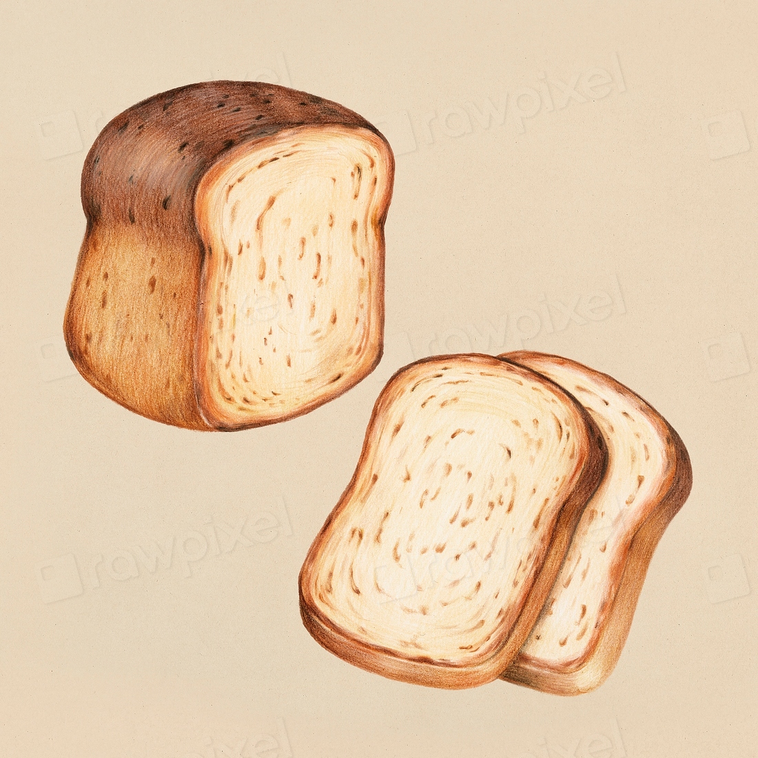 Freshly baked bread hand-drawn illustration | Free Photo Illustration ...