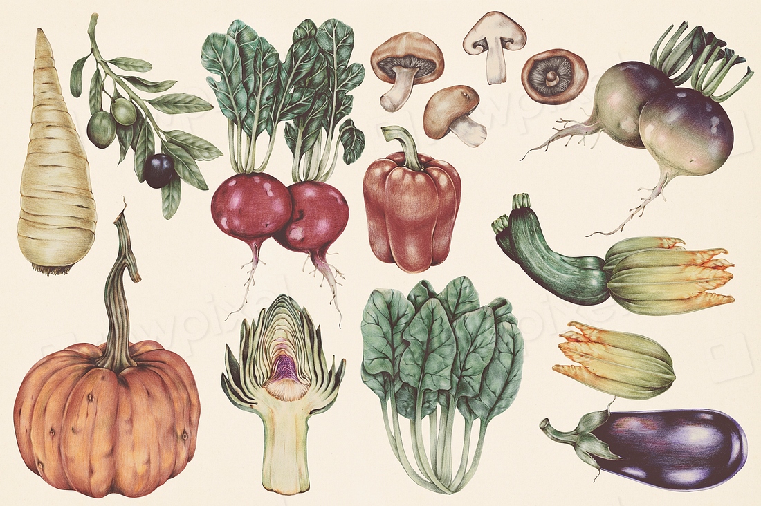 Hand drawn vegetables set illustration | Premium PSD - rawpixel