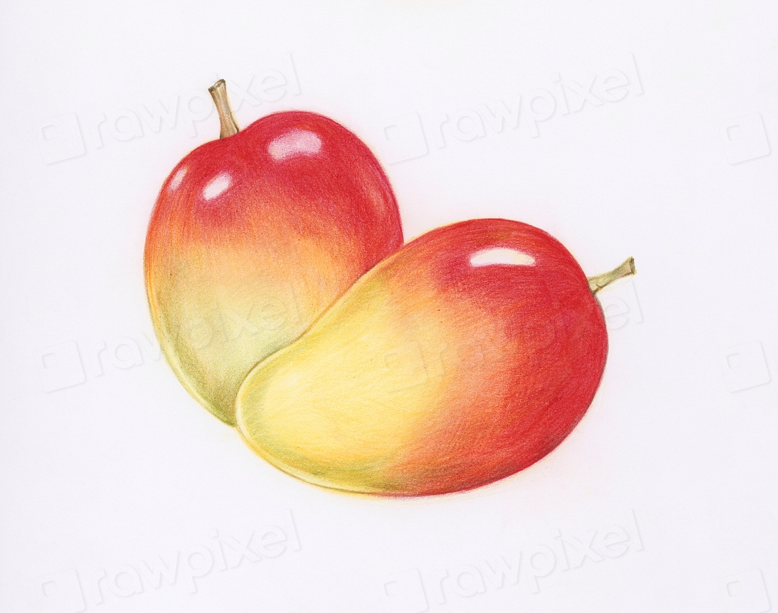Hand drawn red mango illustration | Premium Photo Illustration - rawpixel