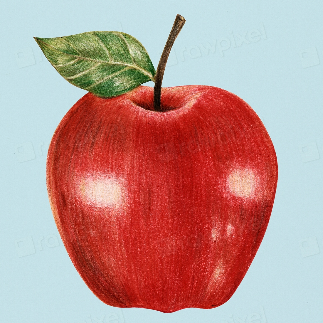 Hand drawn red apple illustration | Premium PSD Illustration - rawpixel